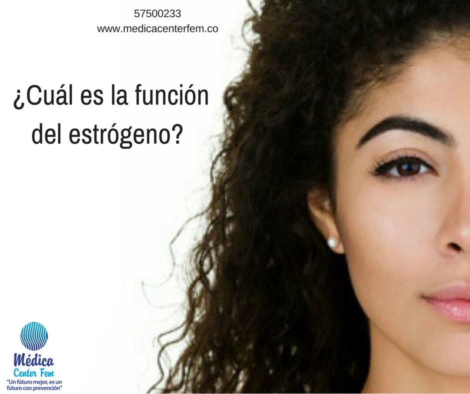 ¿Cuál es la función del estrógeno? – Medica Center Fem